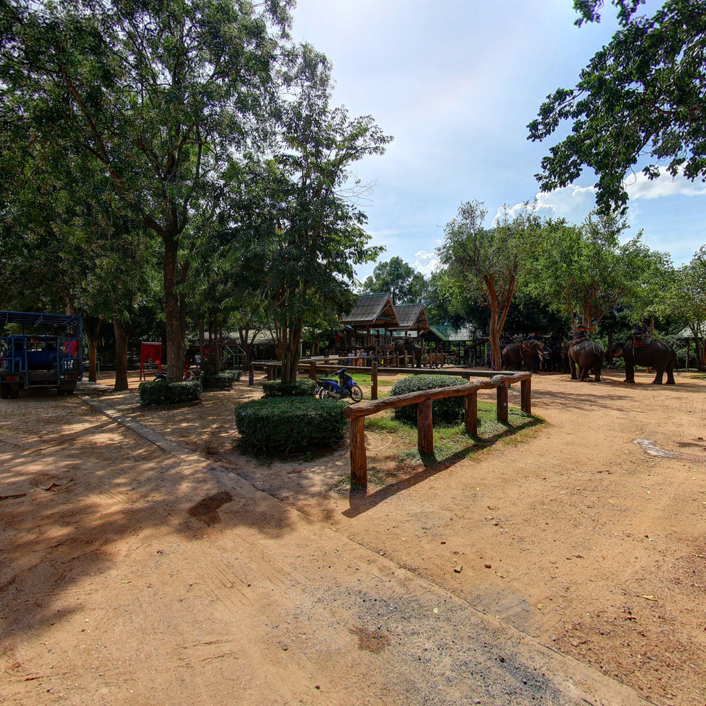 Taweechai Elephant Camp | 360 Stories
